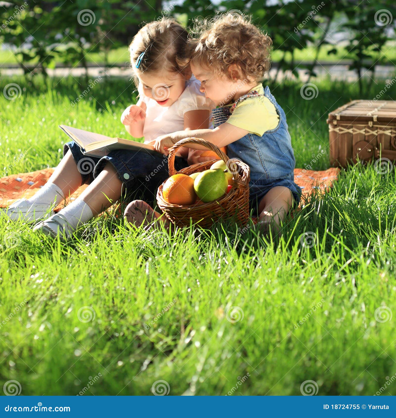 Children On Picnic Royalty Free Stock Photo - Image: 18724755