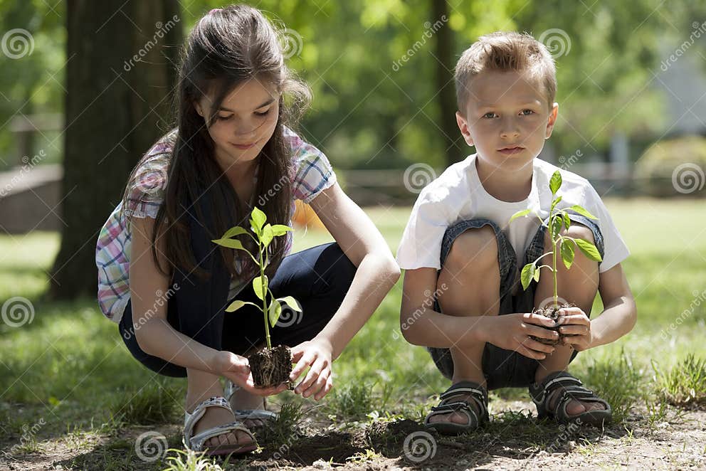 Children planting stock photo. Image of playing, concept - 26223436