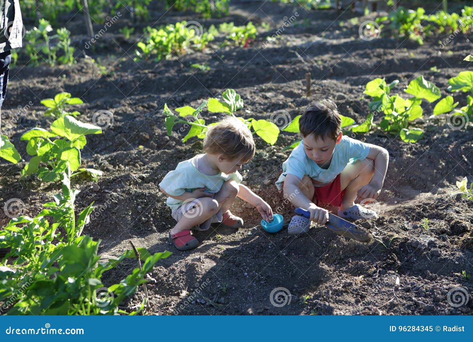 Children Planting Seeds stock image. Image of land, healthy - 96284345