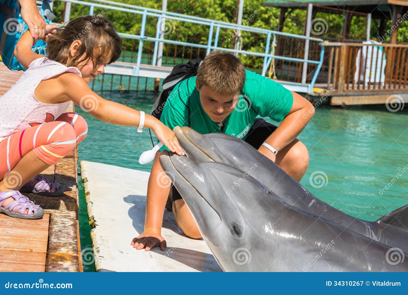 Kids Swimming With Dolphins