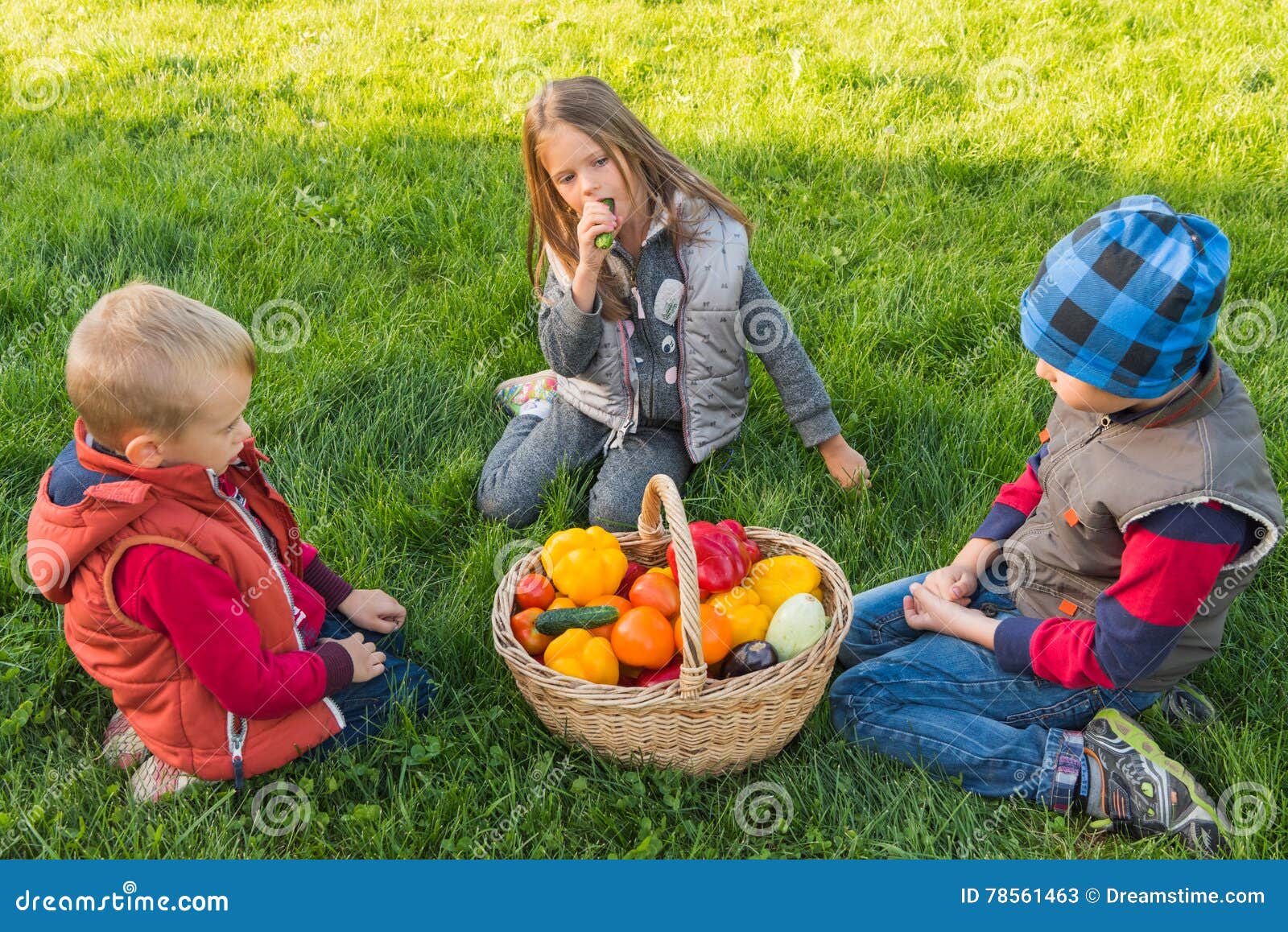 Children Play in the Garden on the Grass. Stock Image - Image of grass ...