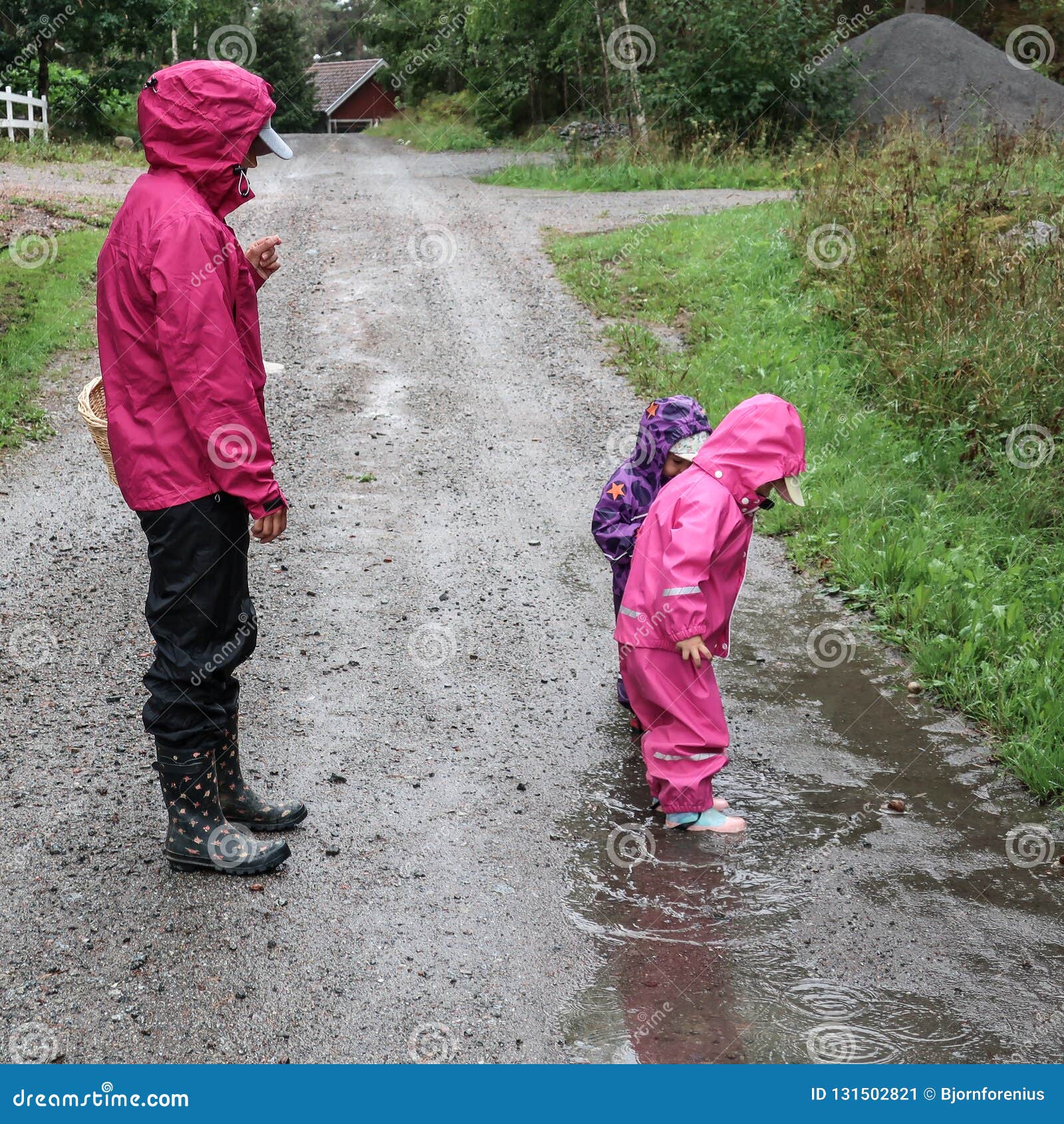 Muddy Puddle In Savernake Forest Stock Image | CartoonDealer.com #113834329