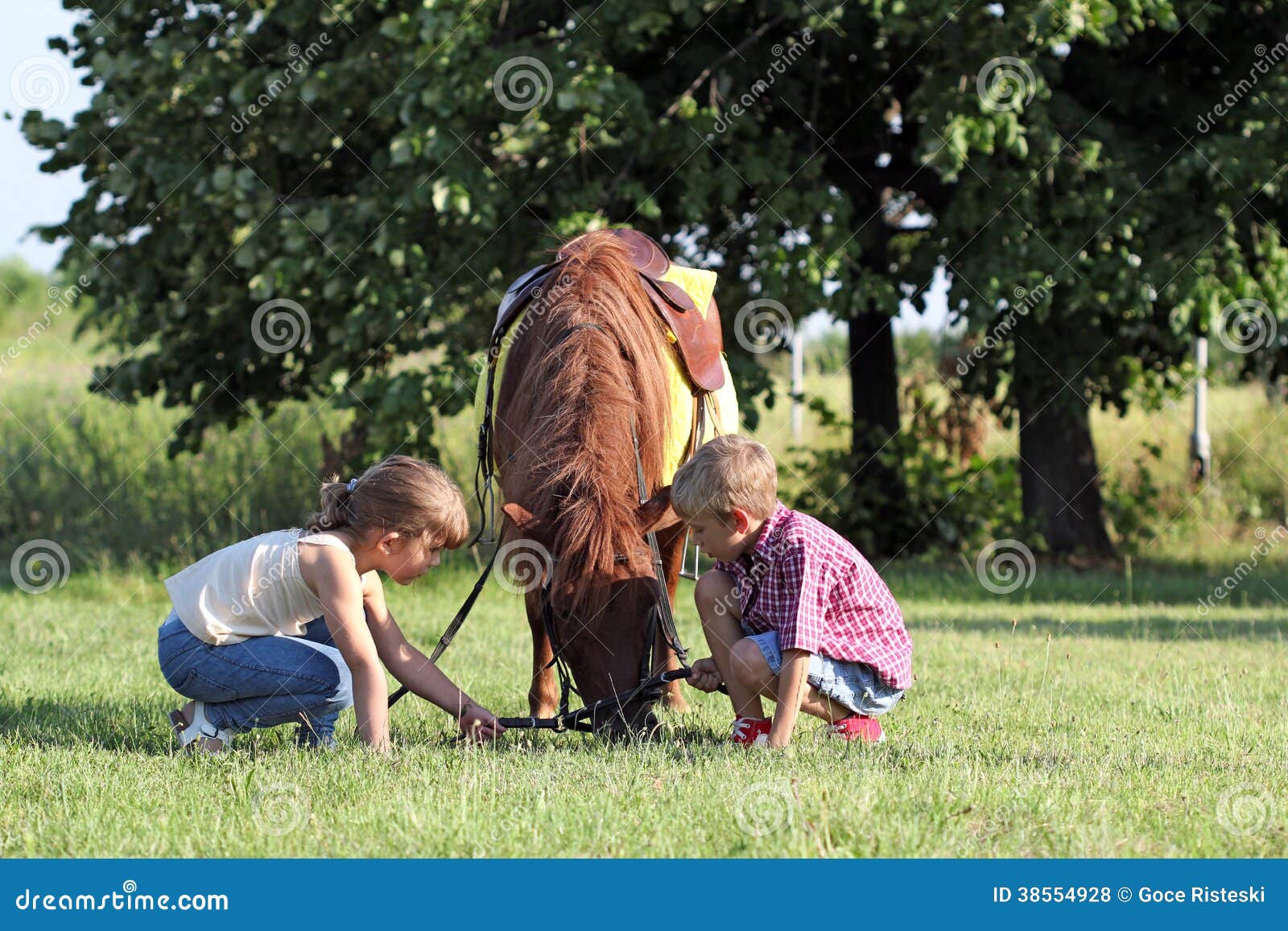 Children Play with Pony Horse Stock Photo - Image of animal, playful ...