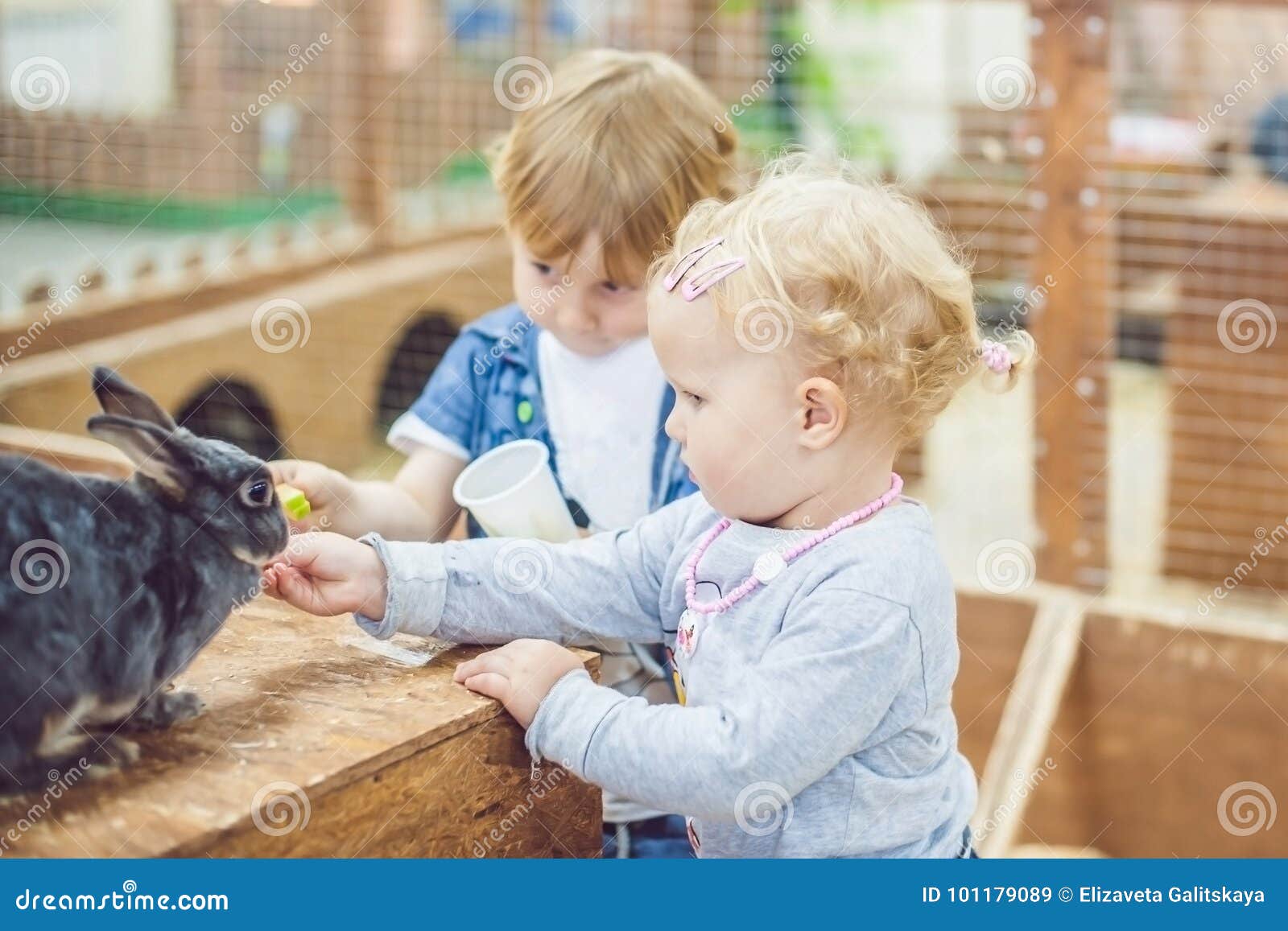 Children Play with the Rabbits in the Petting Zoo Stock Image - Image ...