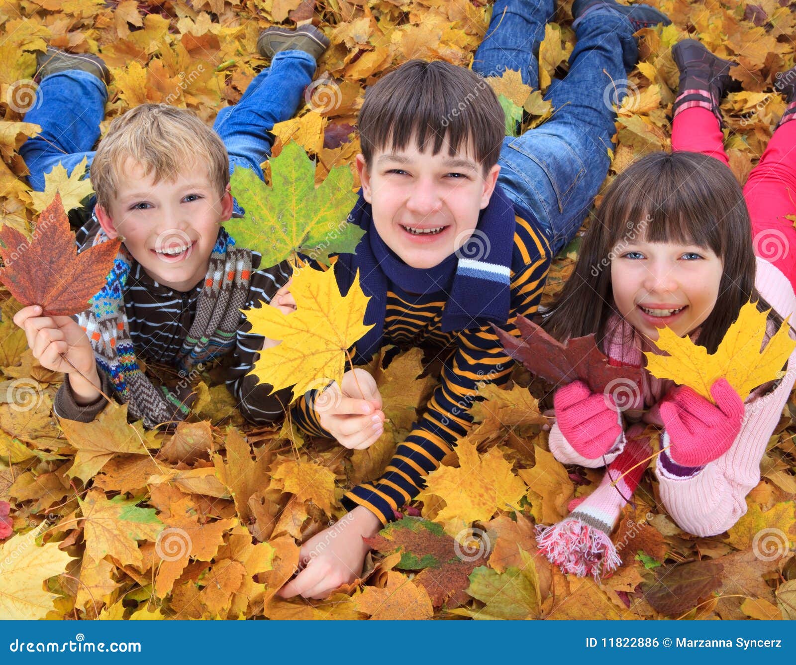 Children playing in Autumn stock photo. Image of happy - 11822886