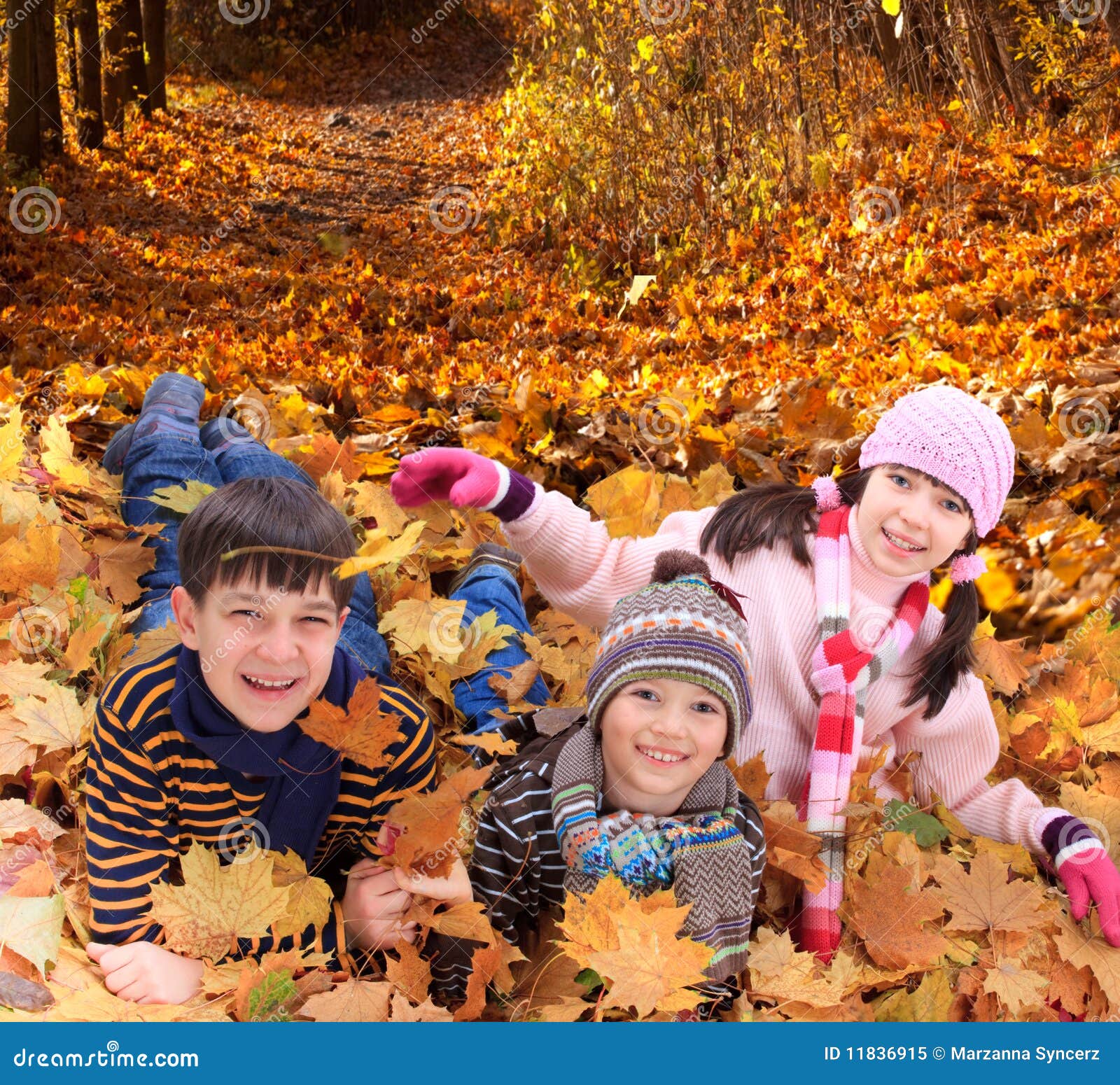 Children playing in Autumn stock image. Image of covered - 11836915
