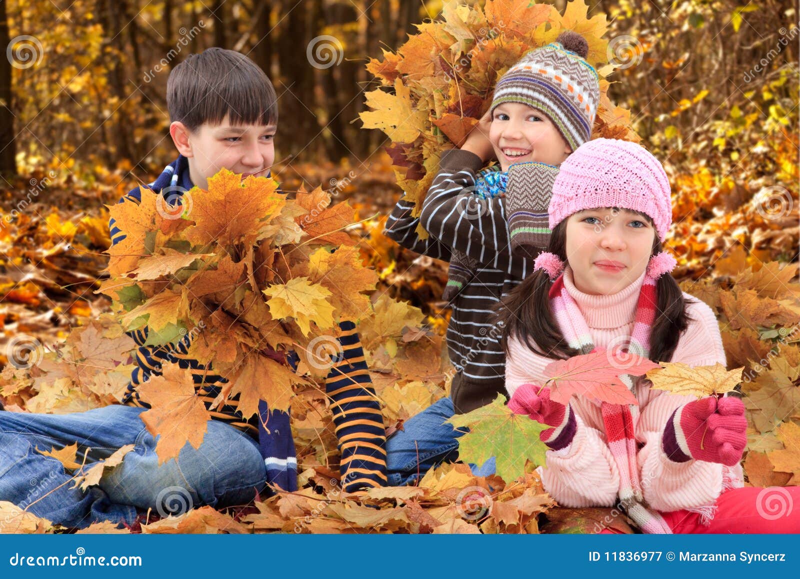 Children playing in Autumn stock image. Image of fall - 11836977