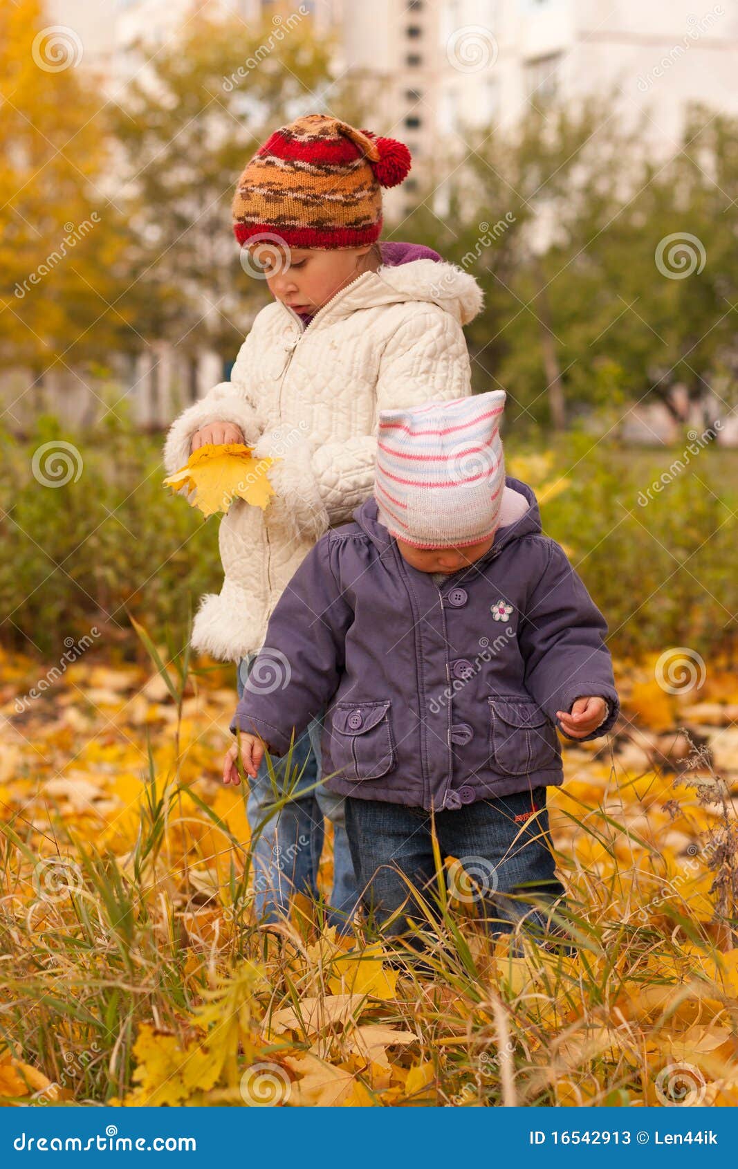 Children Playing In Autumn Picture. Image: 16542913