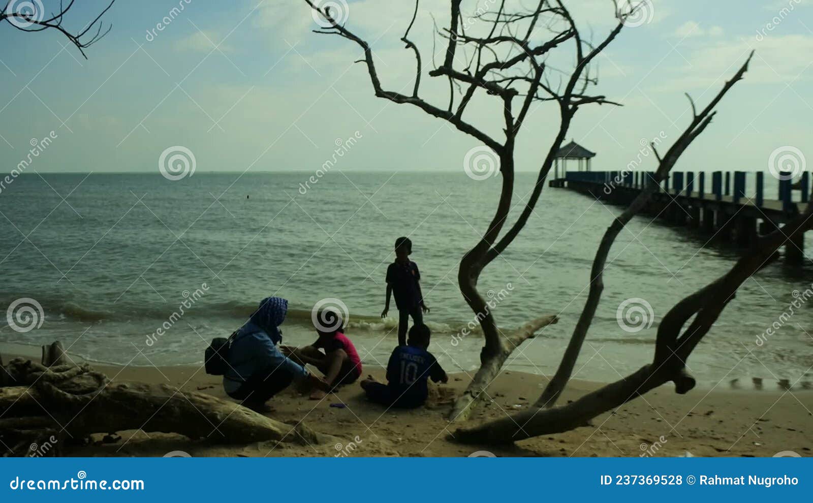 Children Playing on the Beach with Pine Trees in the Background Stock ...