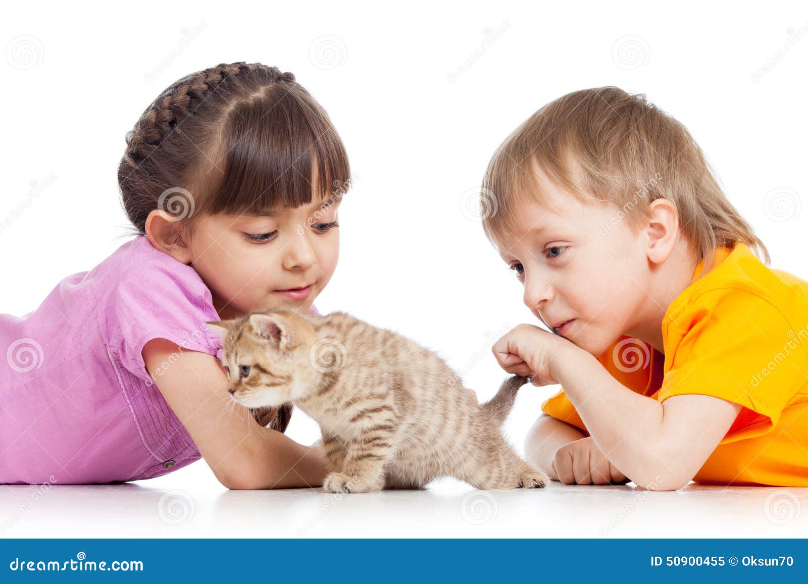 Children Playing with Cat Kitten Stock Image - Image of brother ...
