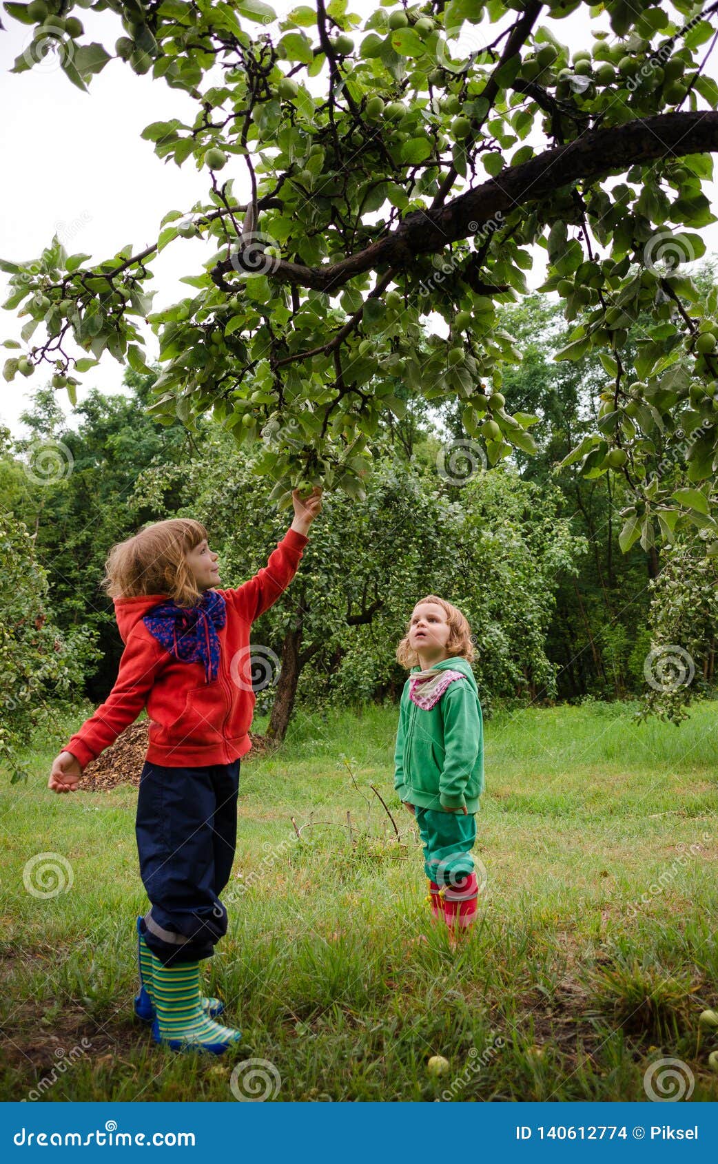Little Girls Playing in the Forest Stock Photo - Image of friendship ...