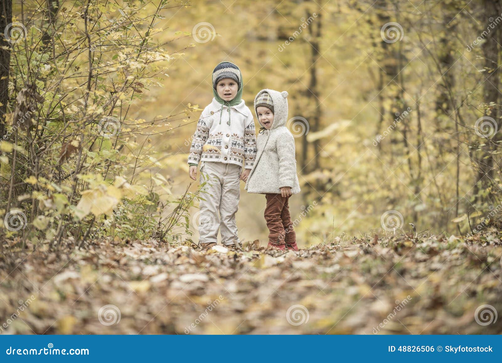 Children Playing in a Forest Stock Photo - Image of childhood, natural ...