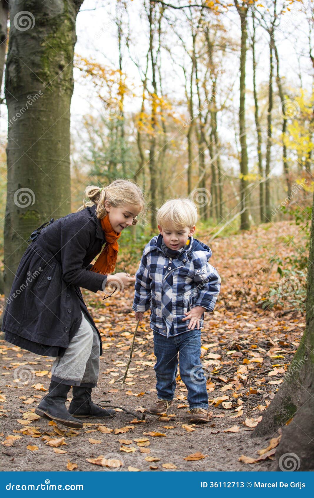 Children playing in forest stock image. Image of lifestyle - 36112713