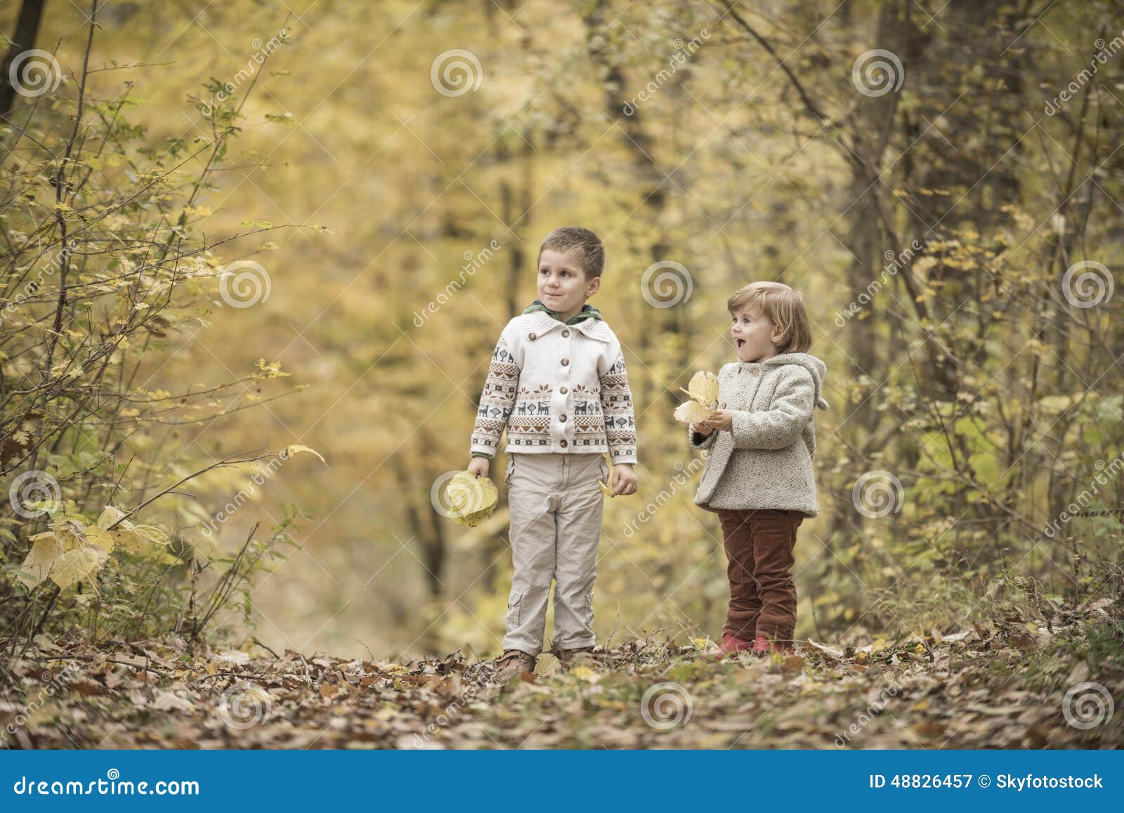 Children Playing in a Forest Stock Image - Image of natural, forest ...