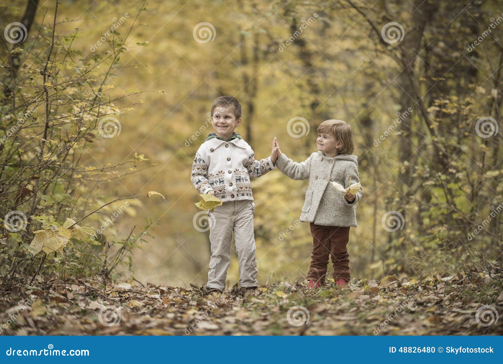 Children Playing in a Forest Stock Photo - Image of baby, yellow: 48826480