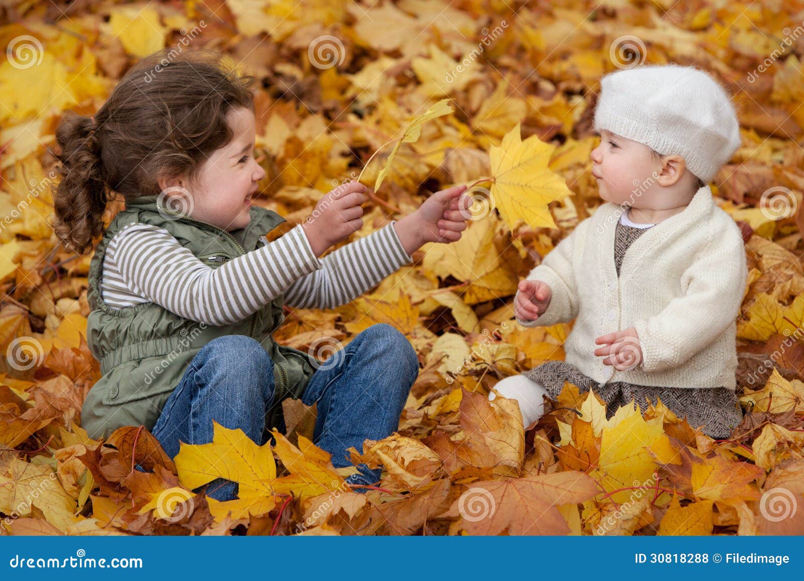 Children Playing in the Leaves Stock Photo - Image of orange, adorable ...