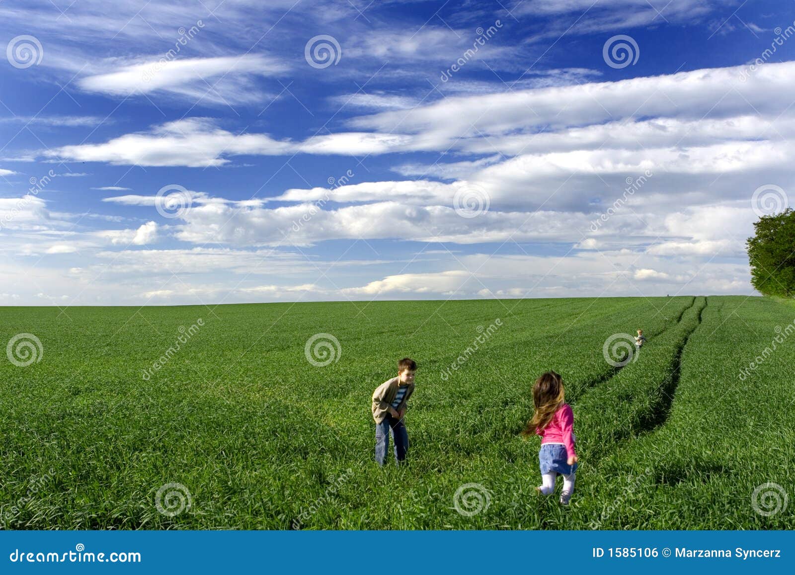 Children Playing in a Meadow. Stock Photo - Image of children ...