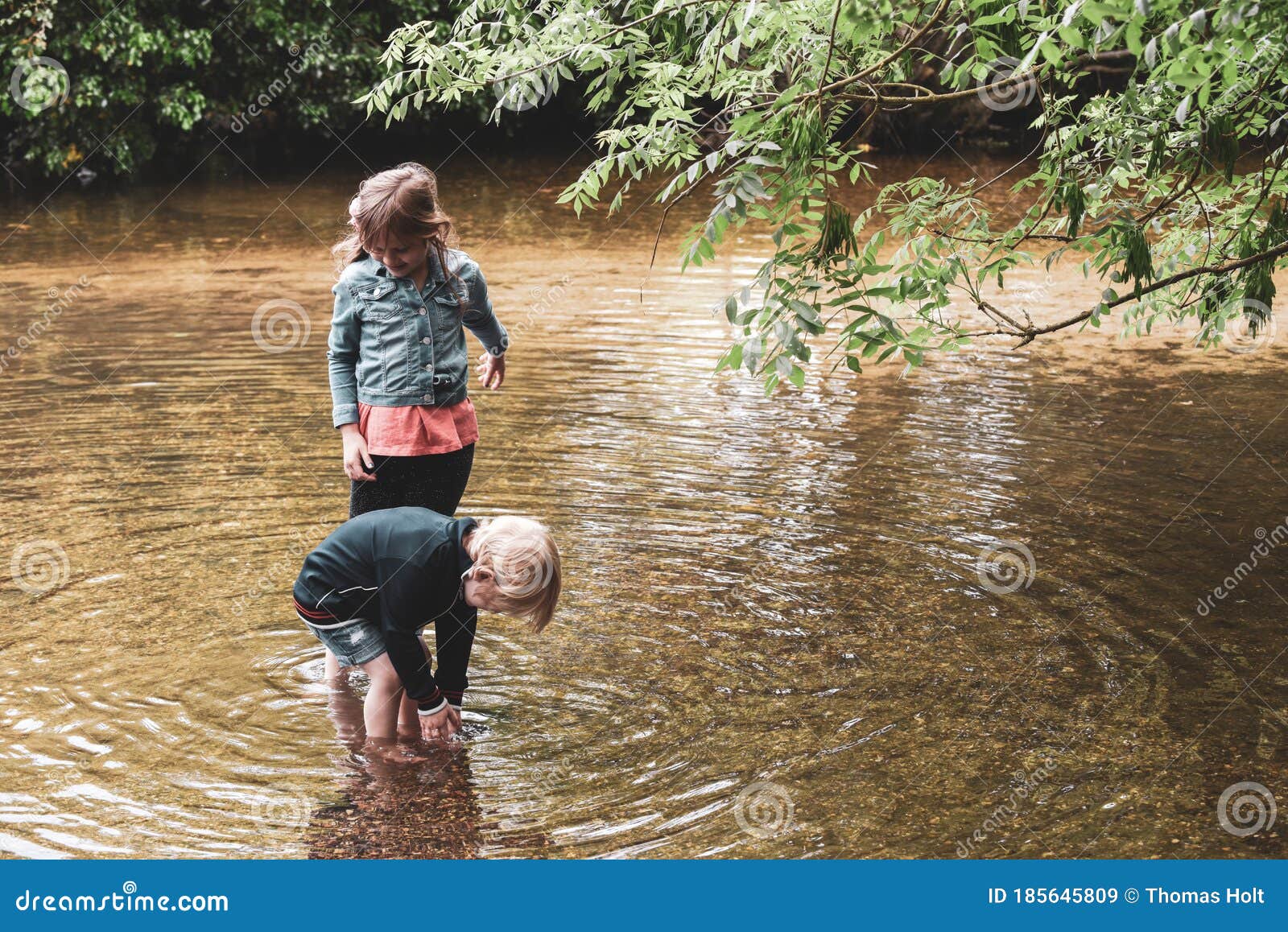 Children Paddle in a Stream of Water Outside during a Sunny Day Out ...