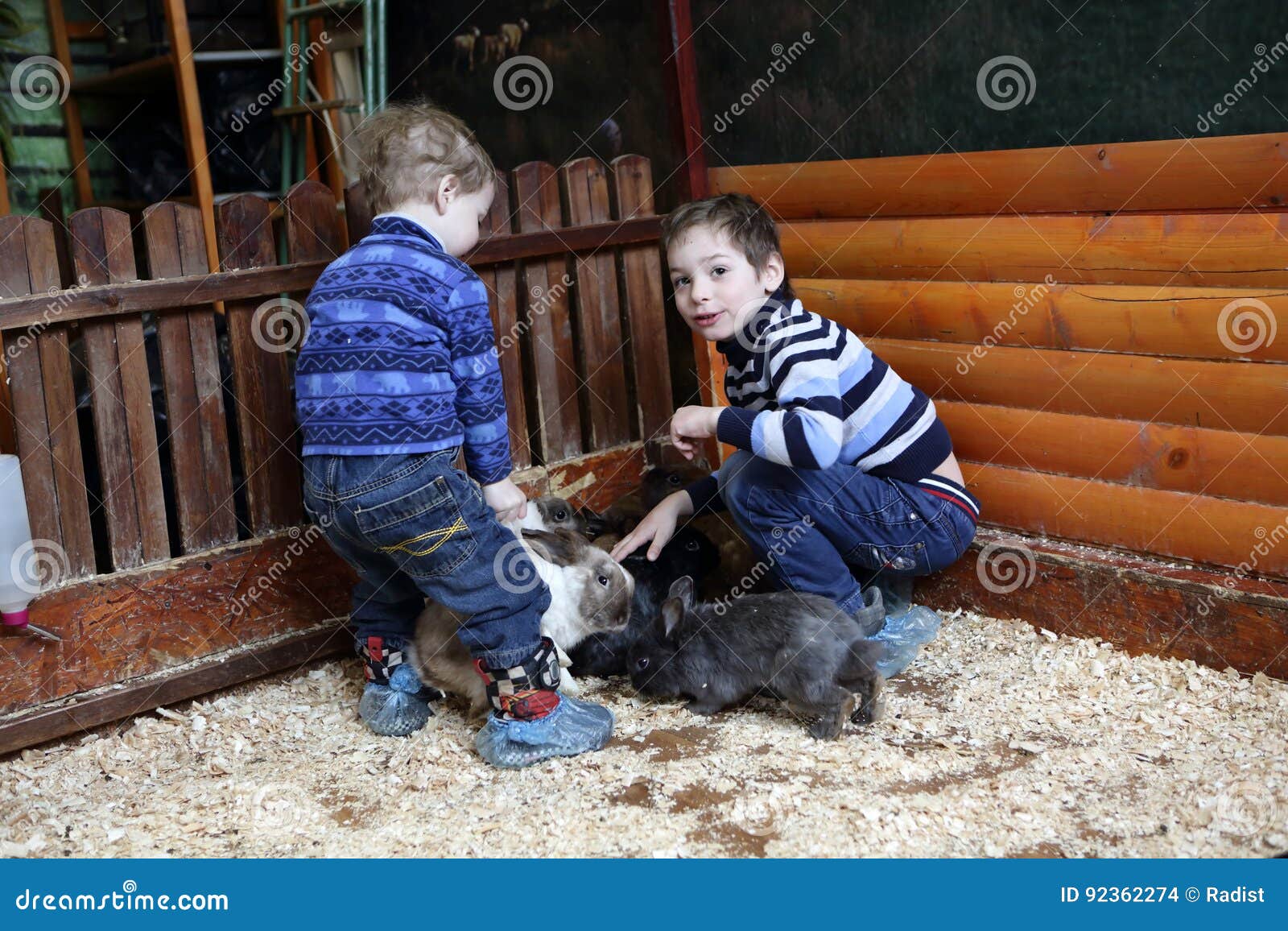 Children Playing with Rabbits Stock Photo - Image of care, attention ...