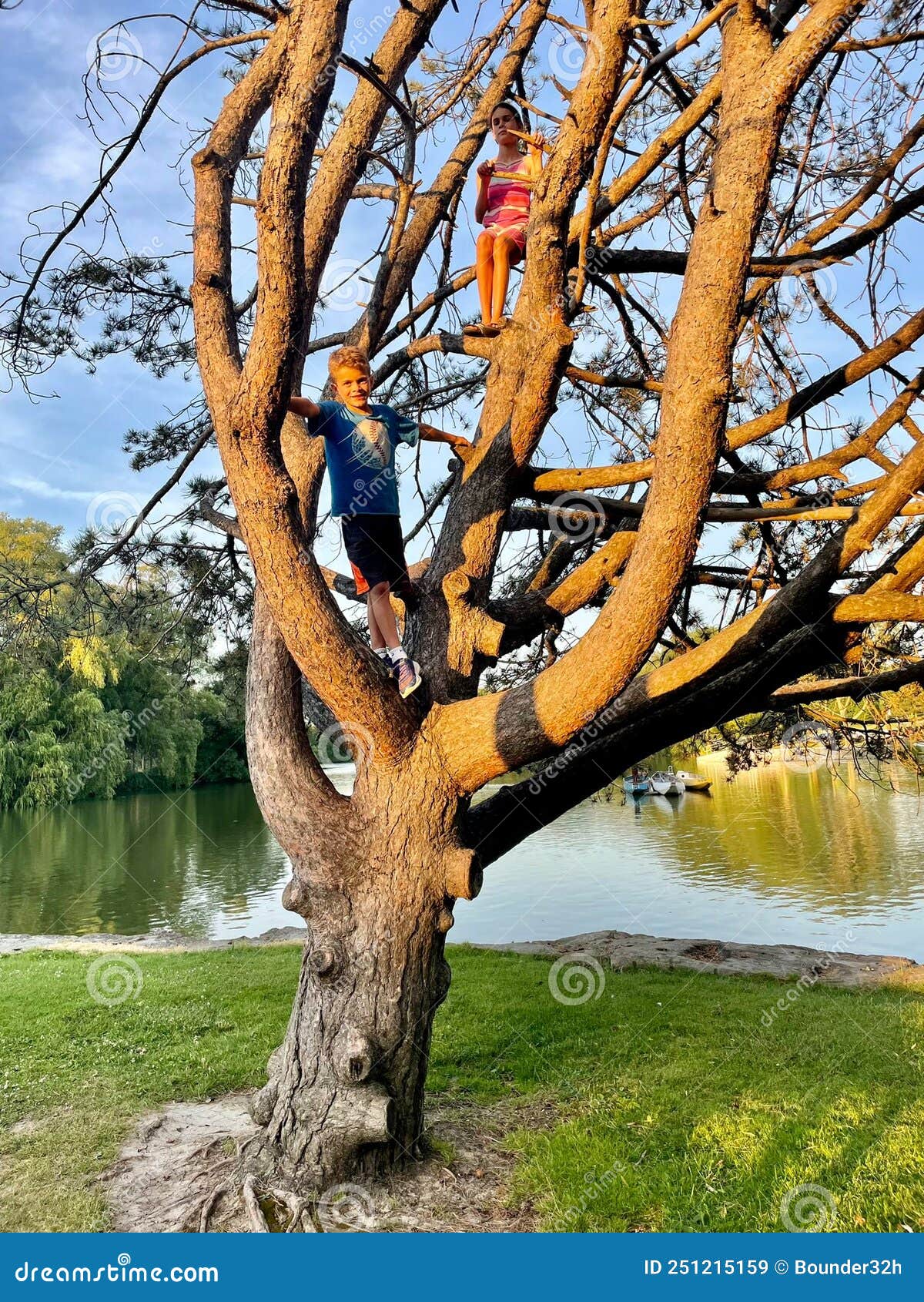 Children Playing in a River-side Tree Stock Image - Image of brother ...