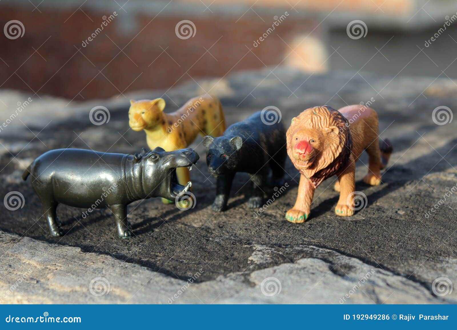 A Children Playing Wild Animal Isolated on Black Background Stock Photo ...
