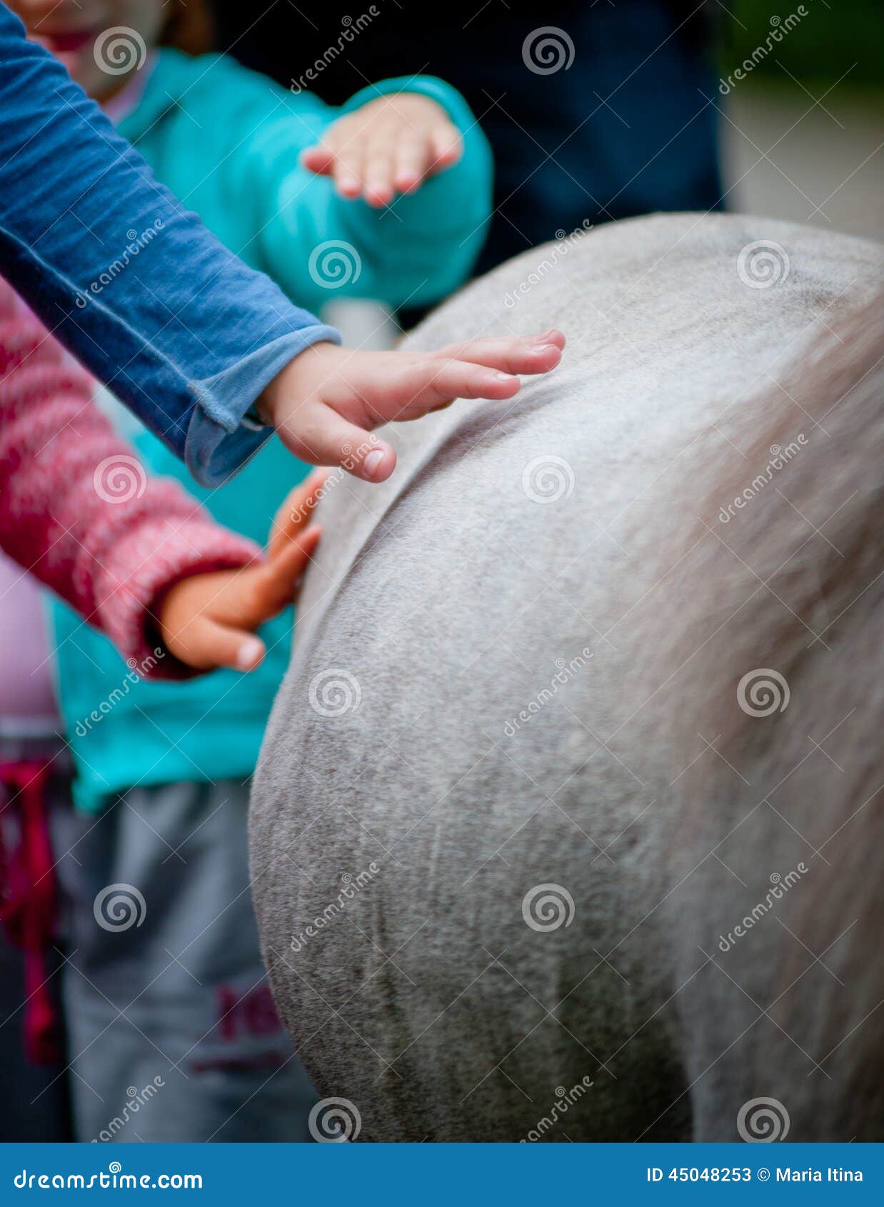 Children and pony stock image. Image of barn, children - 45048253