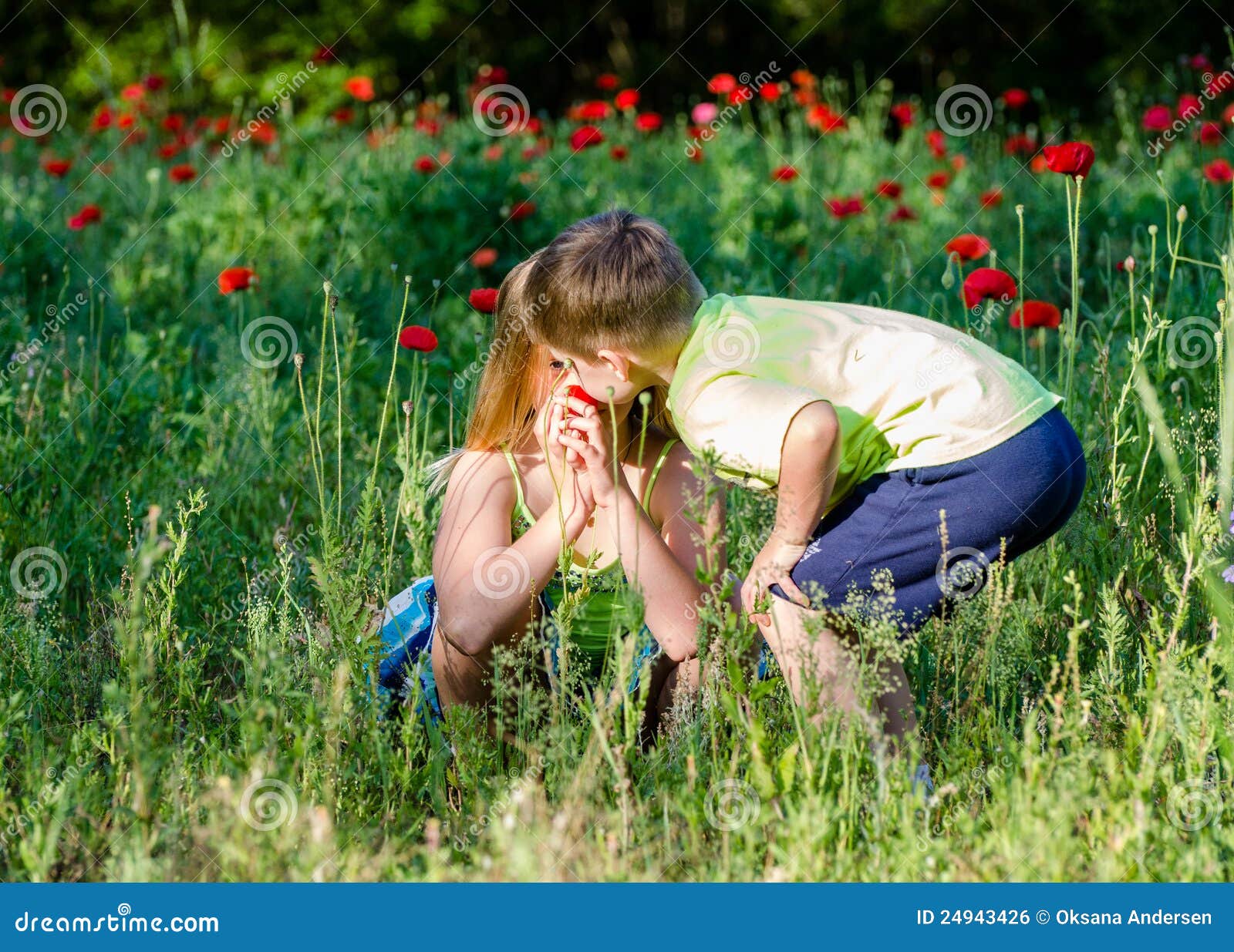 Children and poppies stock photo. Image of sunlit, love - 24943426