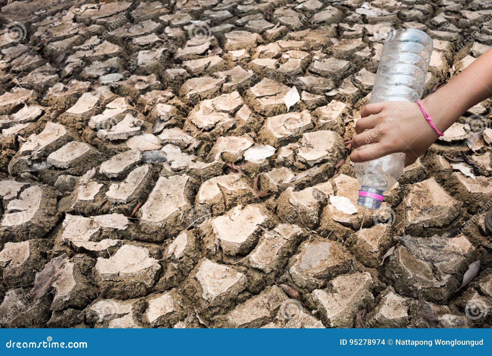 Children Pour Water on the Arid Ground. Stock Photo - Image of copy ...