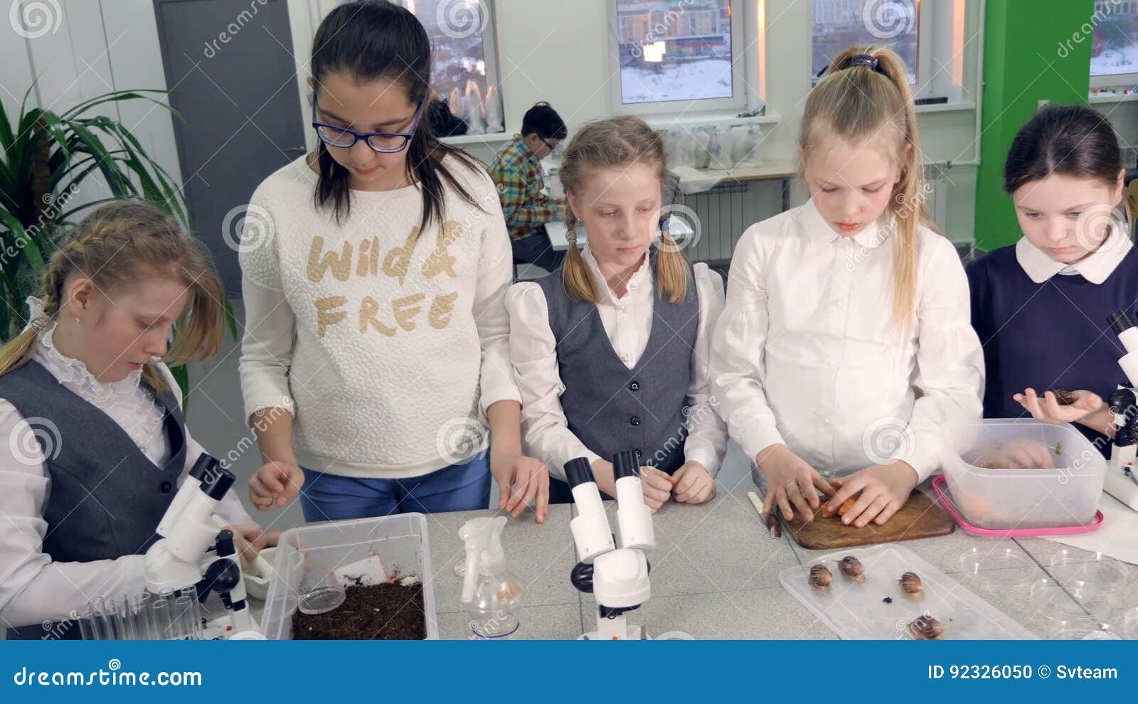 Children Preparing Materials for Science Experiment. 4K. Stock Footage ...