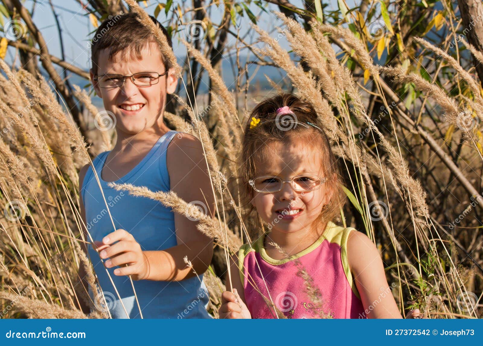 Children among the reeds stock photo. Image of girl, shadow - 27372542