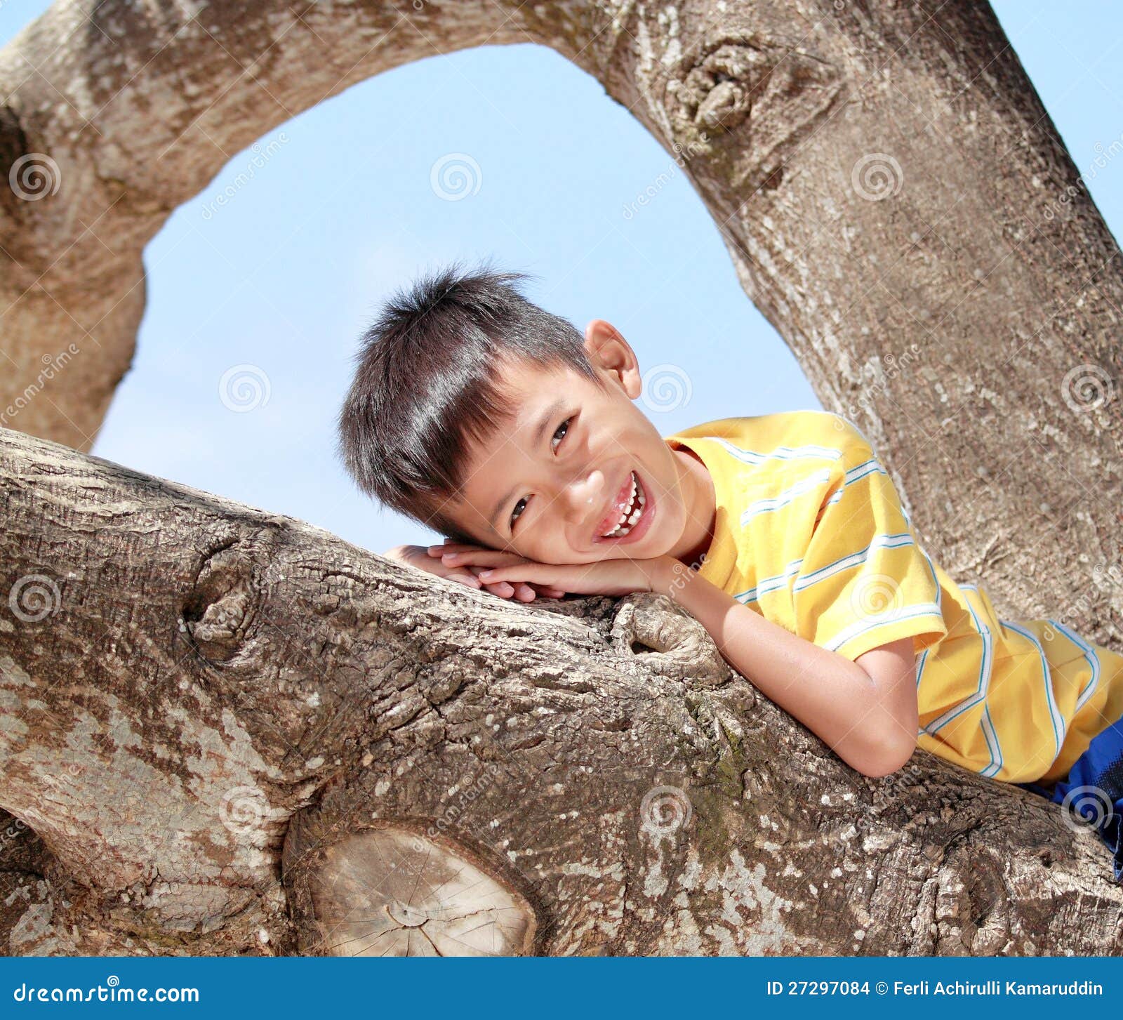 Children Relaxing on a Tree Stock Photo - Image of outdoor, achievement ...