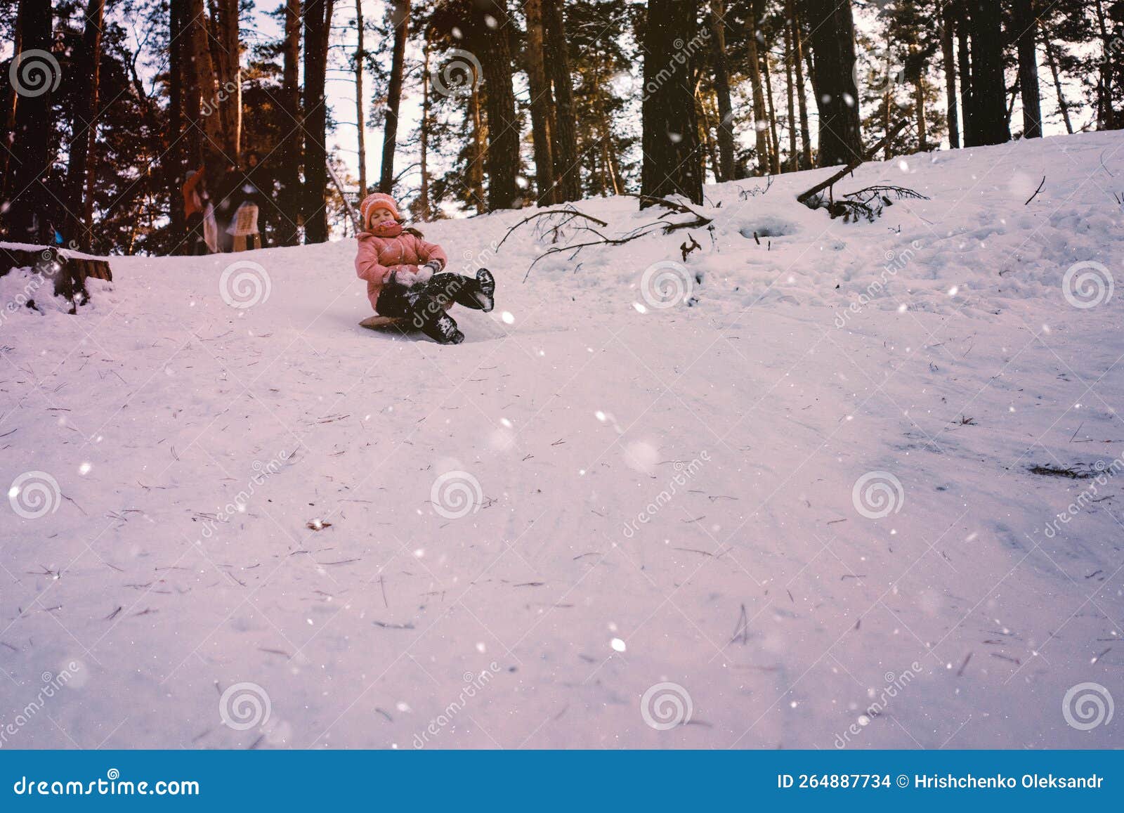 Children Ride on a Winter Slide in the Forest Stock Photo - Image of ...
