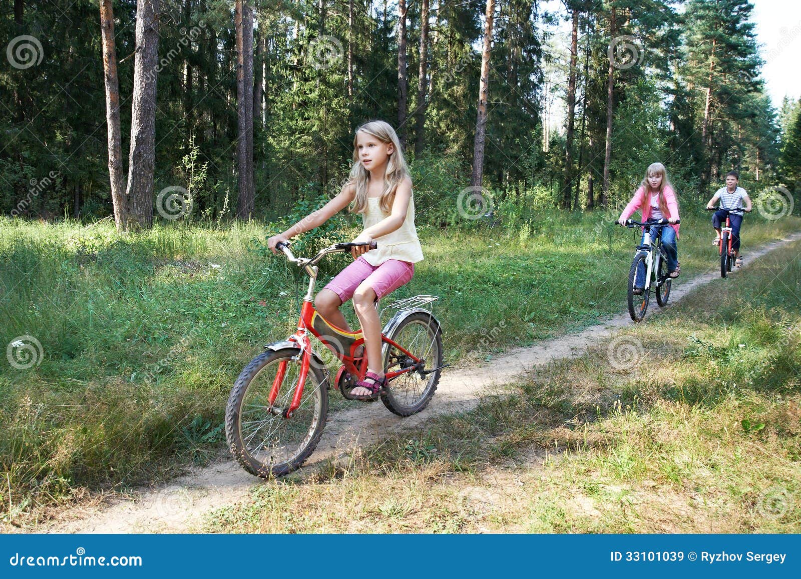 Children Riding Bikes in Woods Stock Image - Image of ride, helmet ...