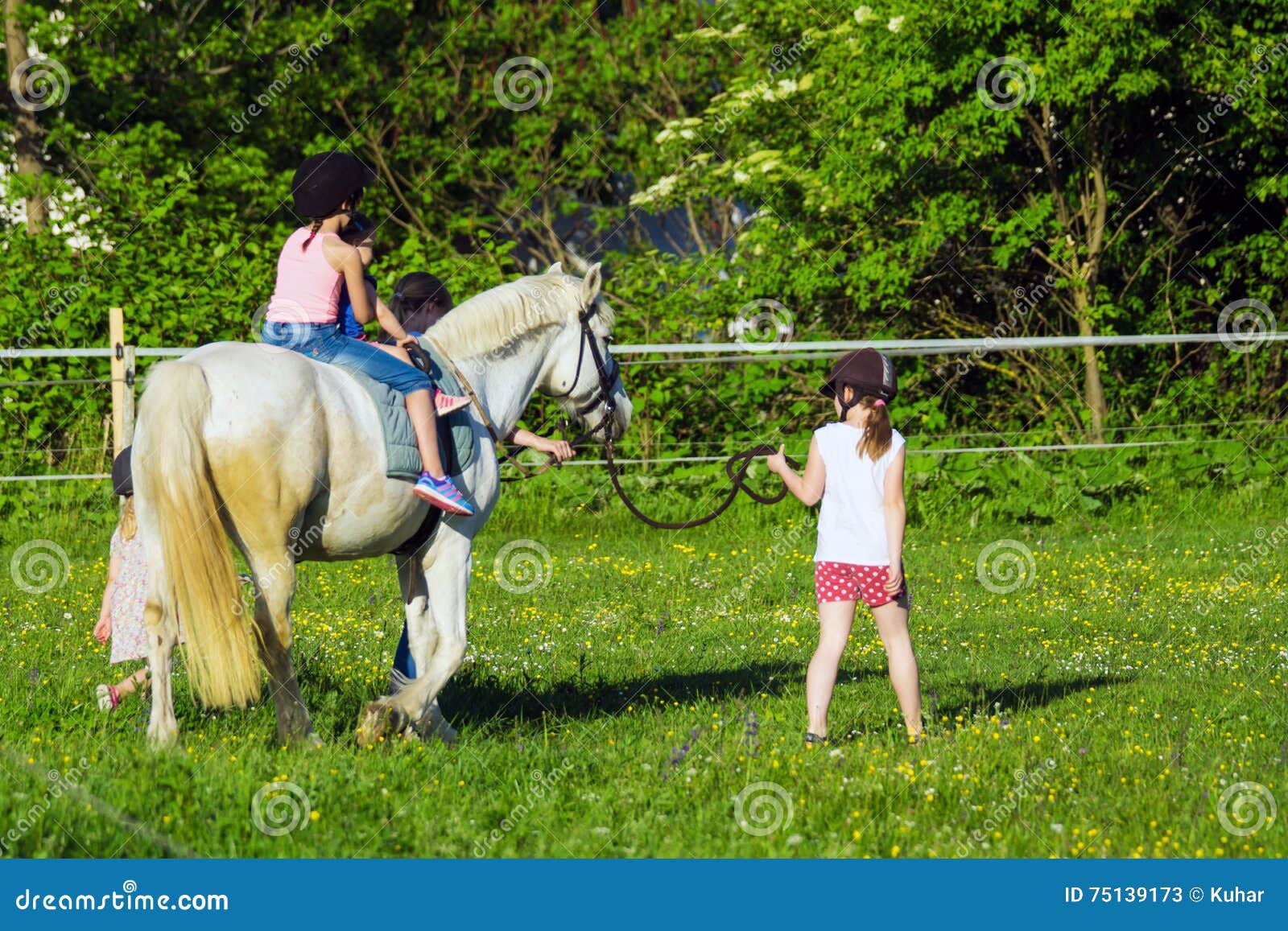 Children riding horse editorial stock photo. Image of school - 75139173