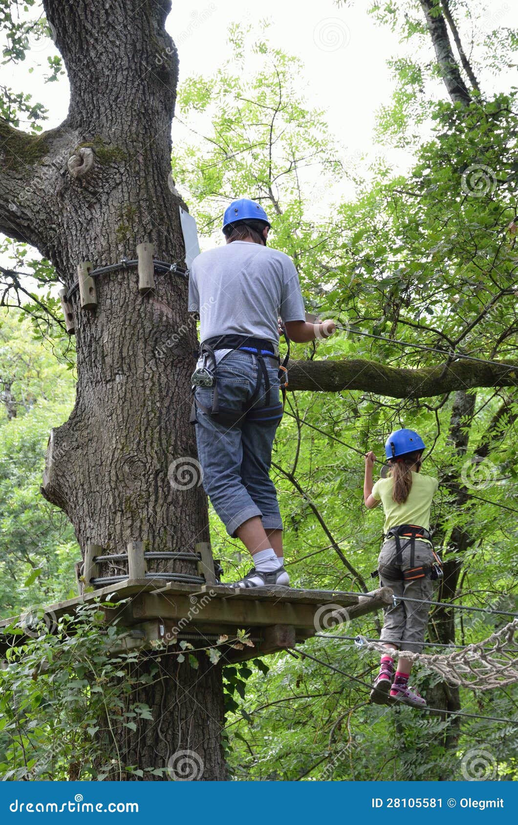 Children at Ropes Course on the Trees Stock Image - Image of caucasian ...