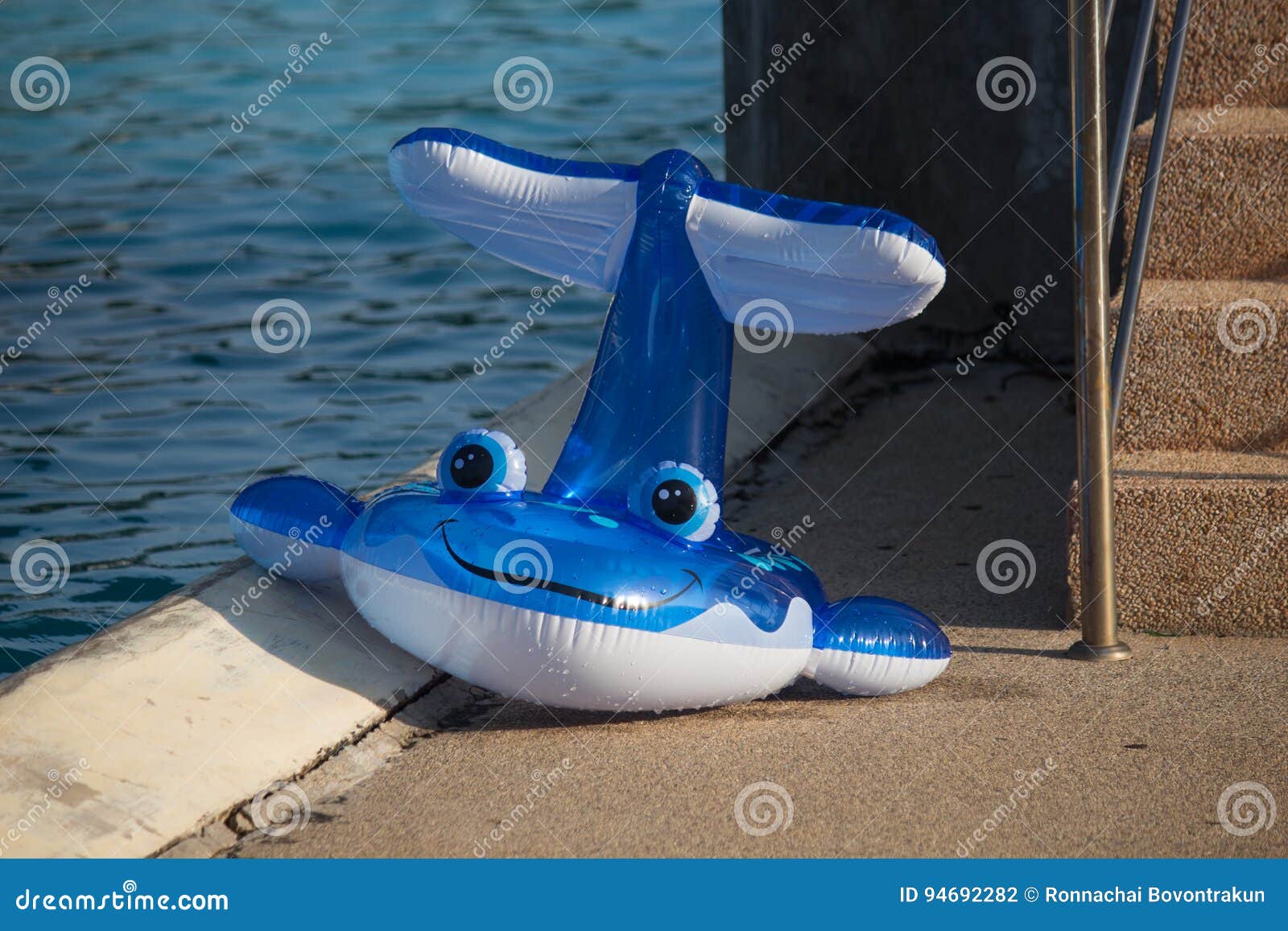 Children`s Beach Toy in Dolphin Shape on the Pool Stock Photo - Image ...