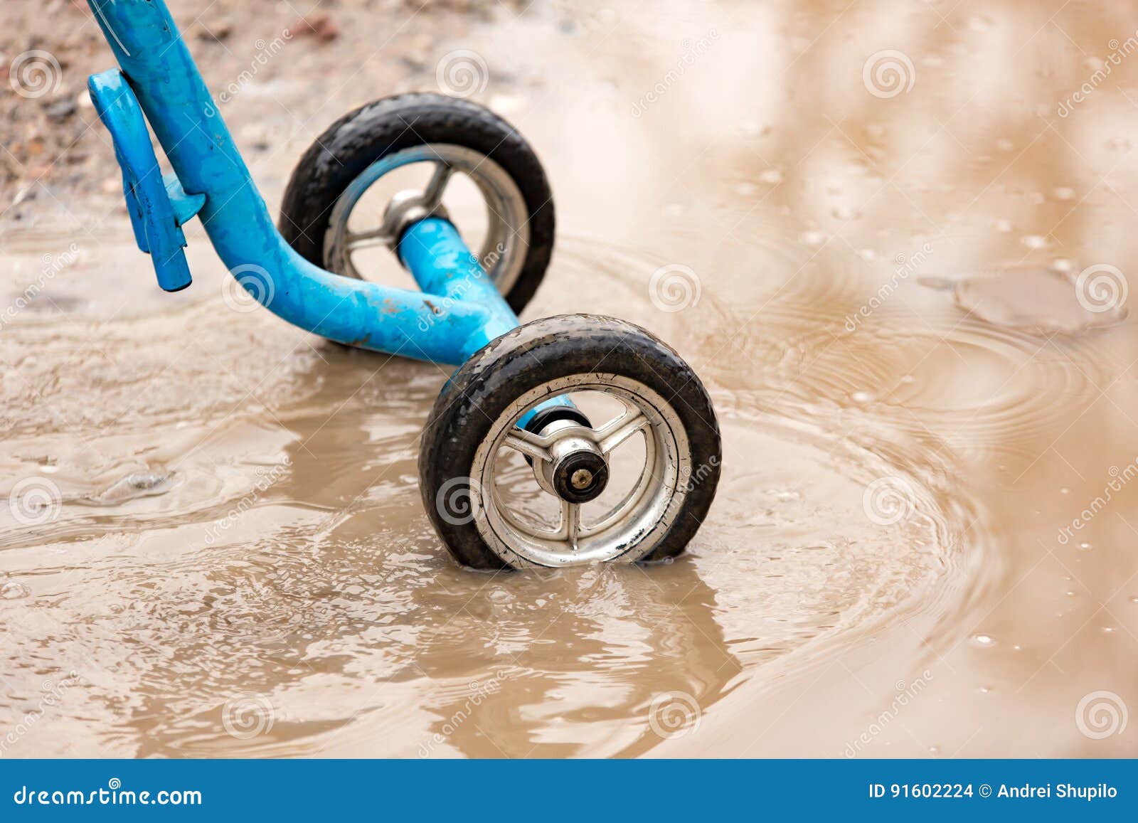 Children`s Bicycle Wheels in a Puddle on the Road Stock Photo - Image ...
