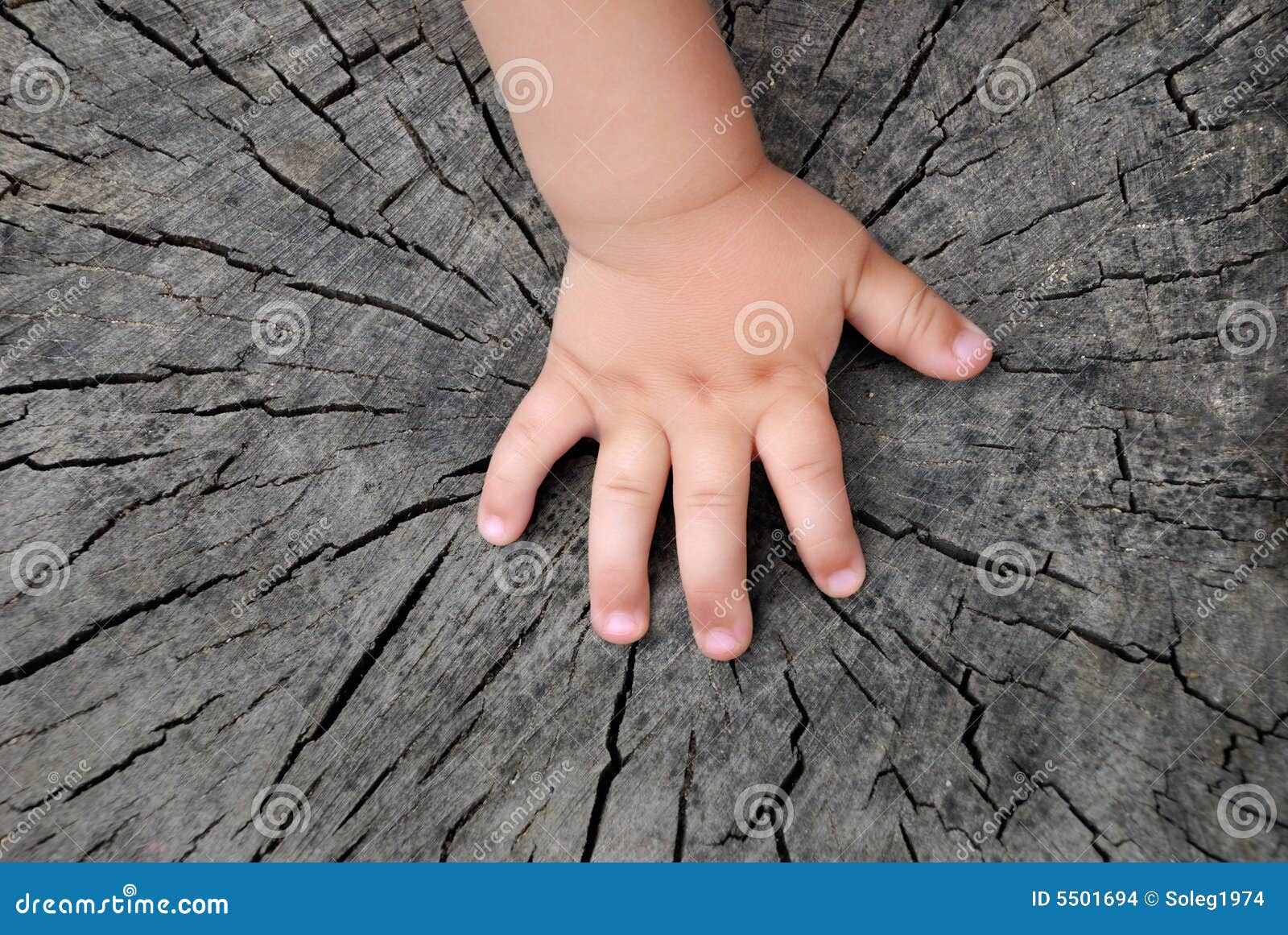 Children s hand stock photo. Image of elderly, good, help - 5501694