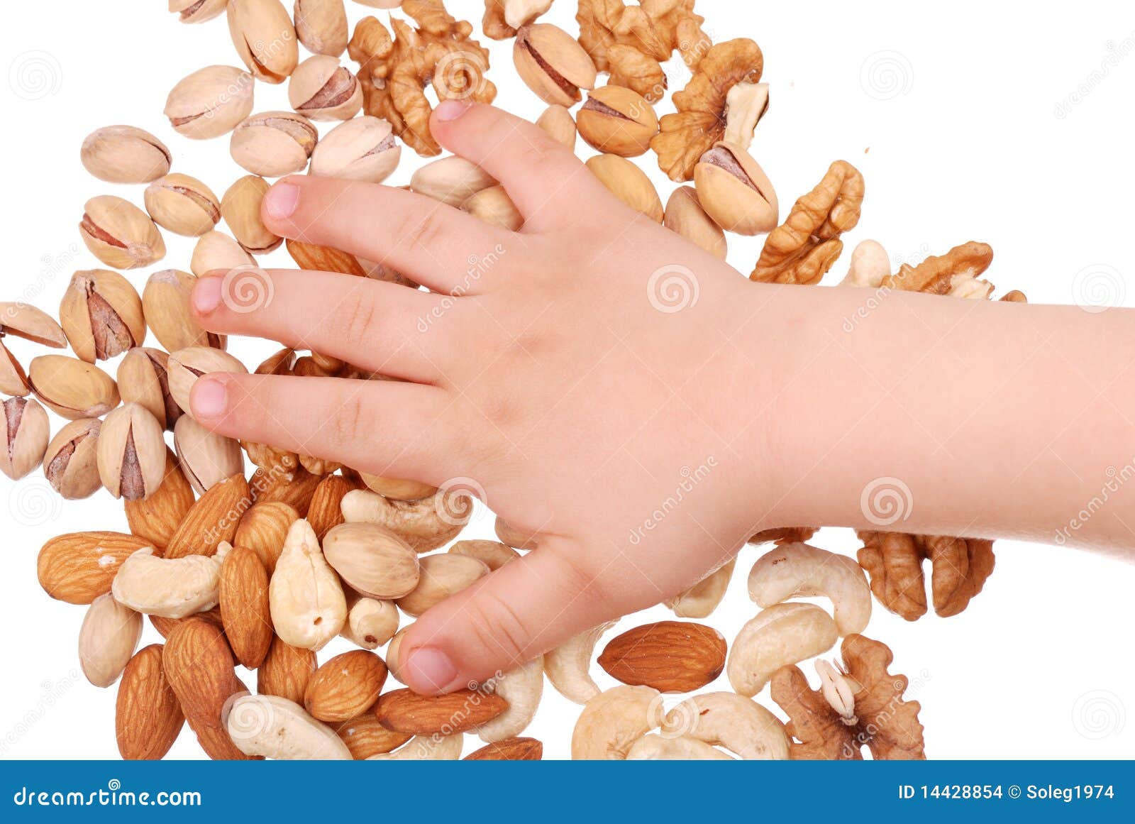 The Children S Hand Holds Nuts Stock Photo - Image of delicious ...
