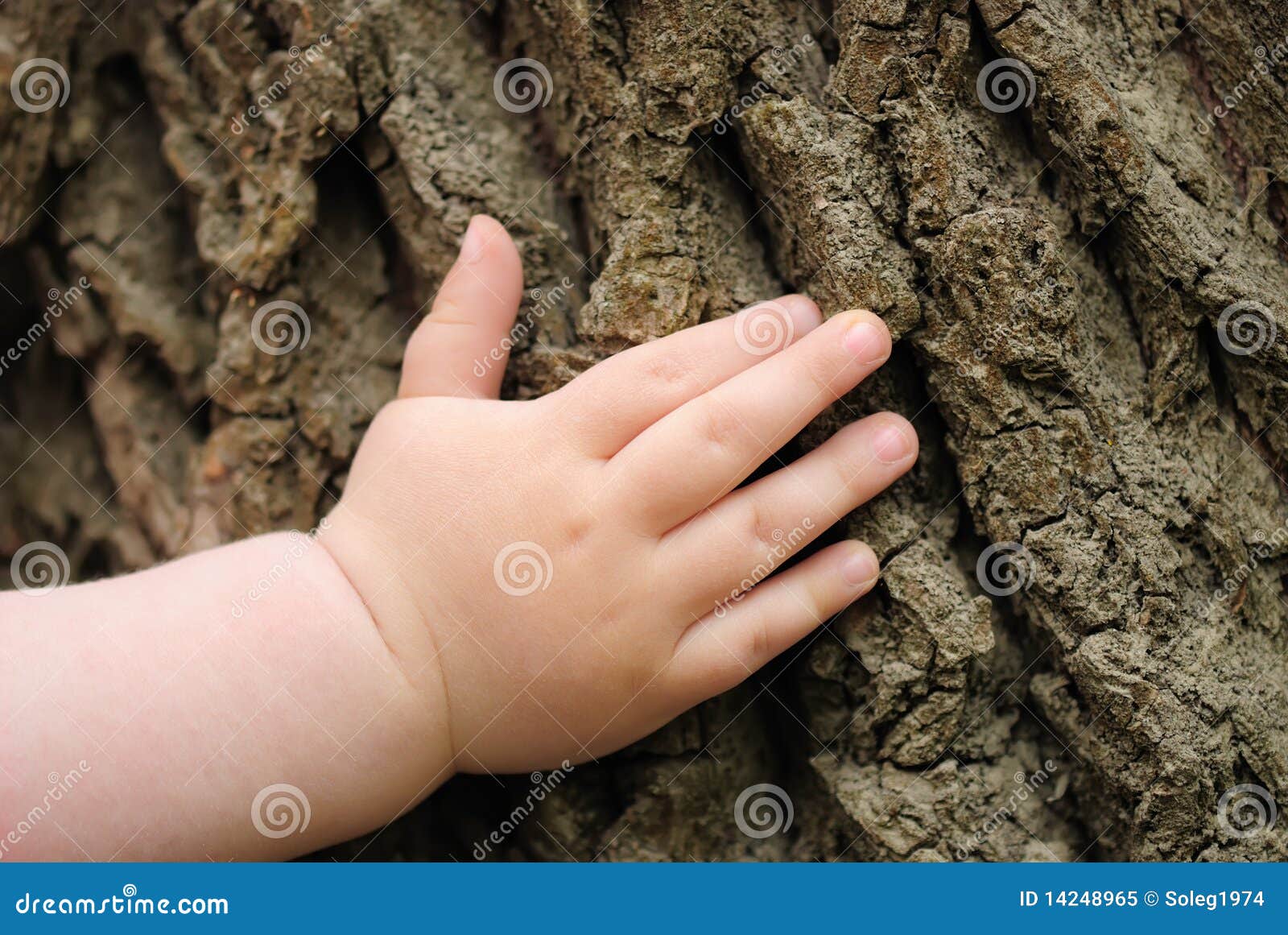 Children S Hand is Located on an Old Stump Stock Image - Image of child ...