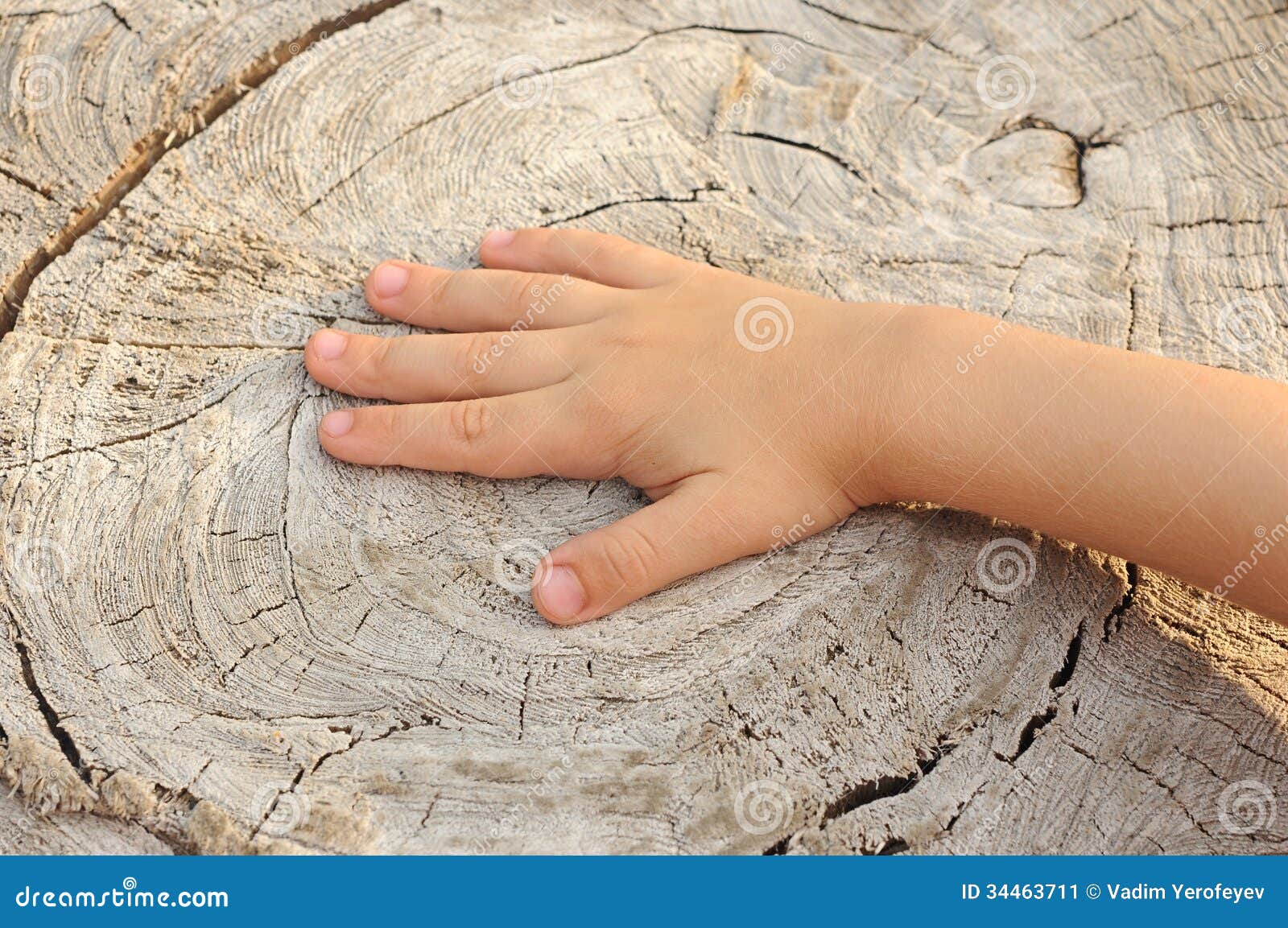 Children s hand stock image. Image of atop, child, people - 34463711