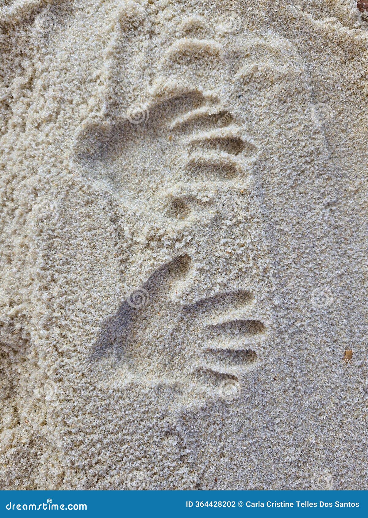 Children's Handprints Stock Photo | CartoonDealer.com #4464288