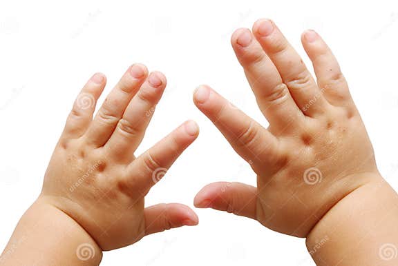 Children s hands stock photo. Image of female, hold, isolated - 15614222