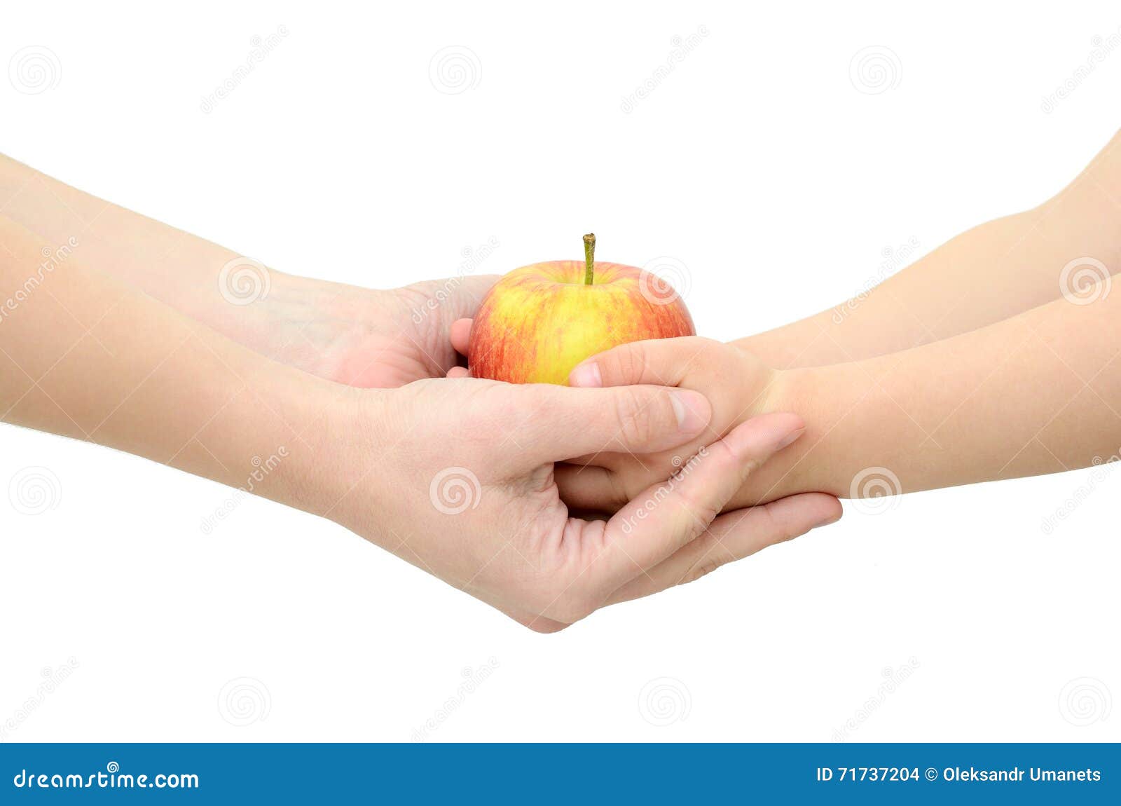 Children S Hands Give an Apple Isolated on White Background Stock Photo ...