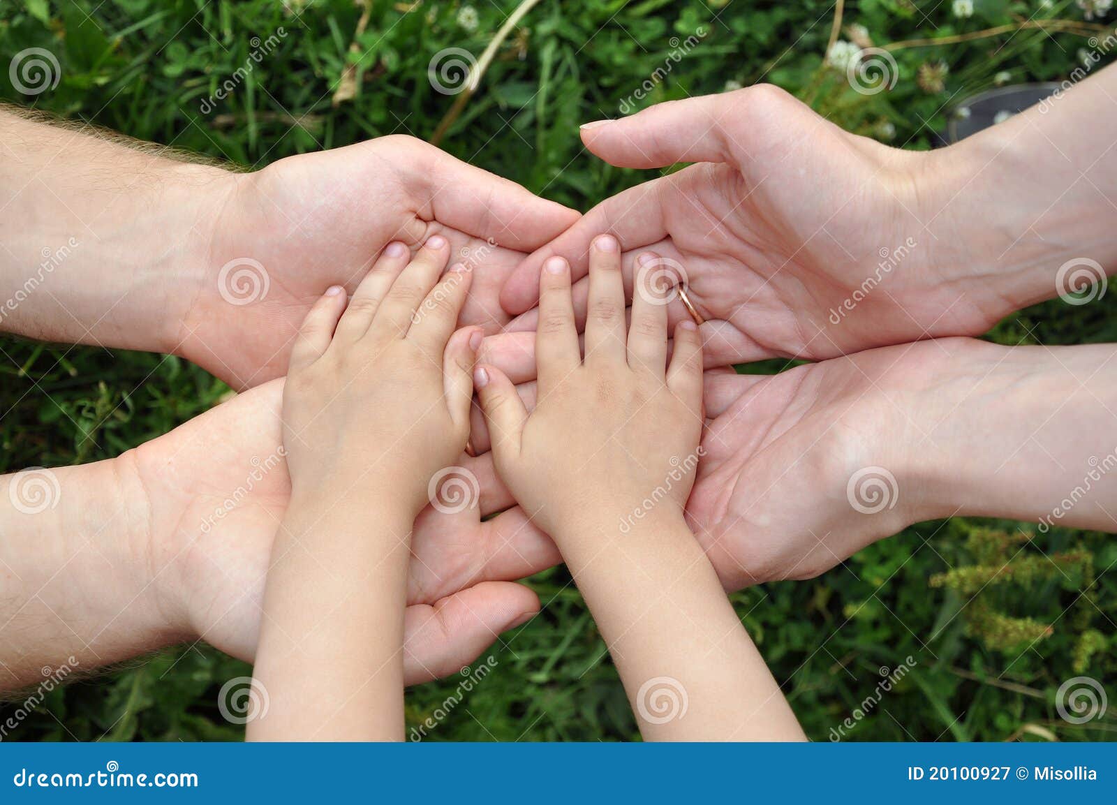 Children S Hands in Hands of Adults Stock Image - Image of hands ...