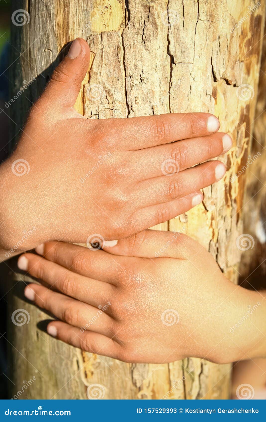 Children`s Hands Hold a Stump in the Park in Nature Stock Image - Image ...