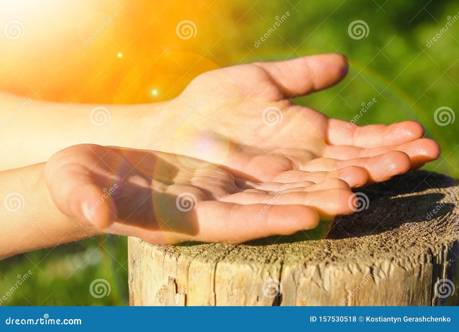 Children`s Hands Hold a Stump in the Park in Nature Stock Photo - Image ...