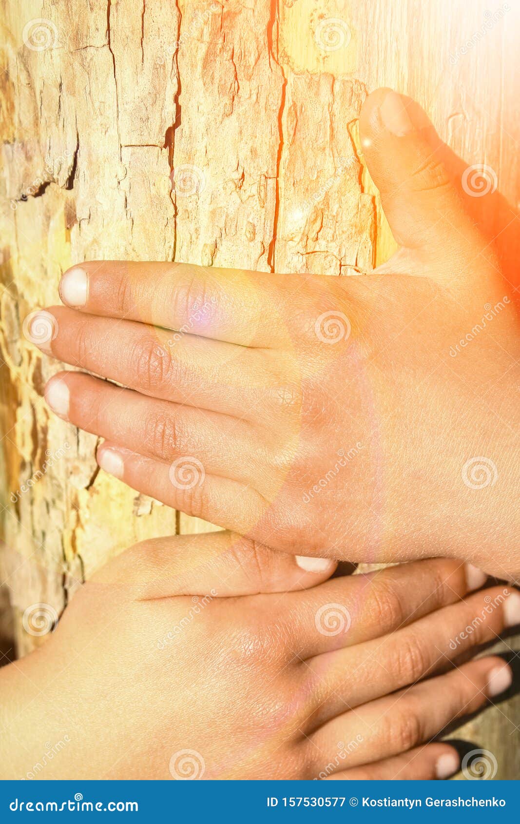 Children`s Hands Hold a Stump in the Park in Nature Stock Image - Image ...