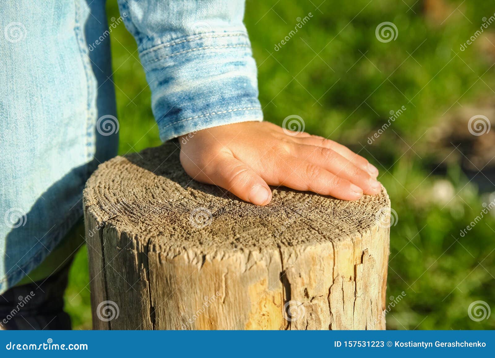 Children`s Hands Hold a Stump in the Park in Nature Stock Image - Image ...