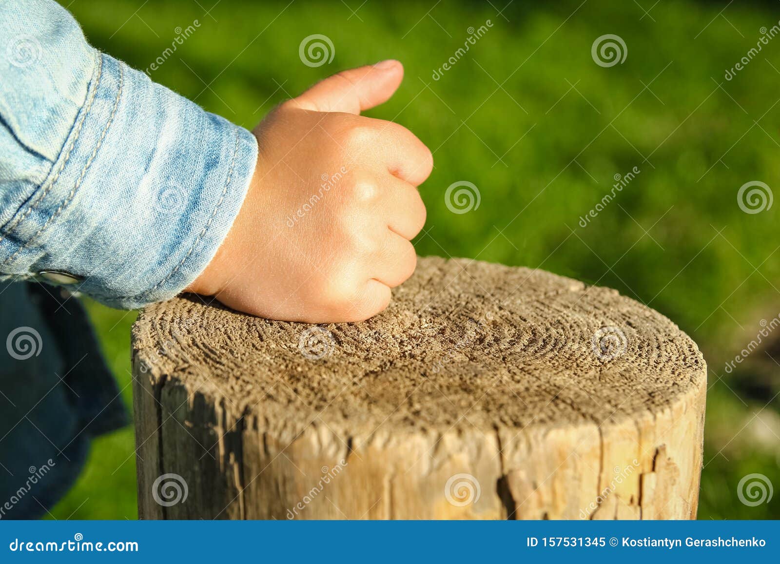 Children`s Hands Hold a Stump in the Park in Nature Stock Image - Image ...